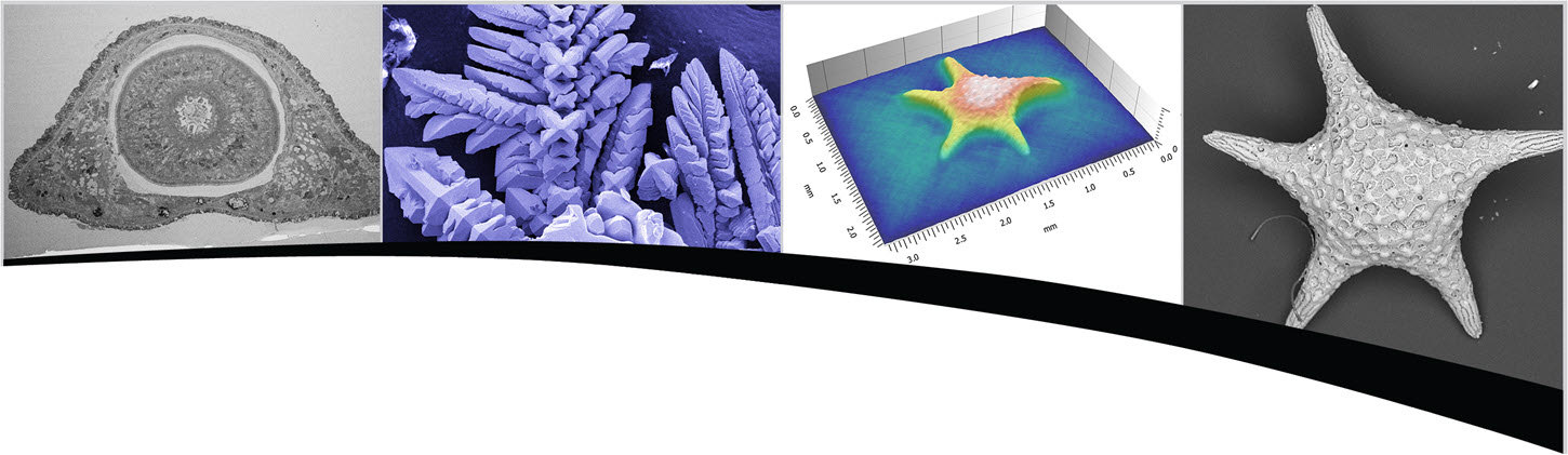 Benchtop SEM | Backscatter Electron Detectors